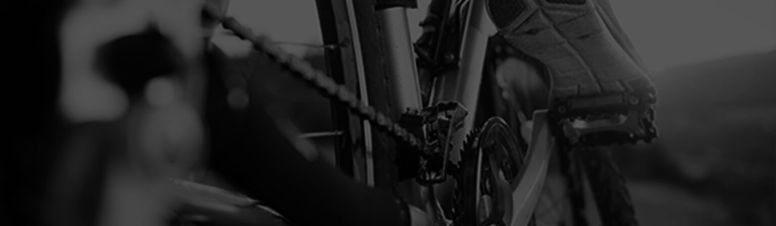 Bosch lanza una nueva actualización para sus eBikes Performance Line CX ...